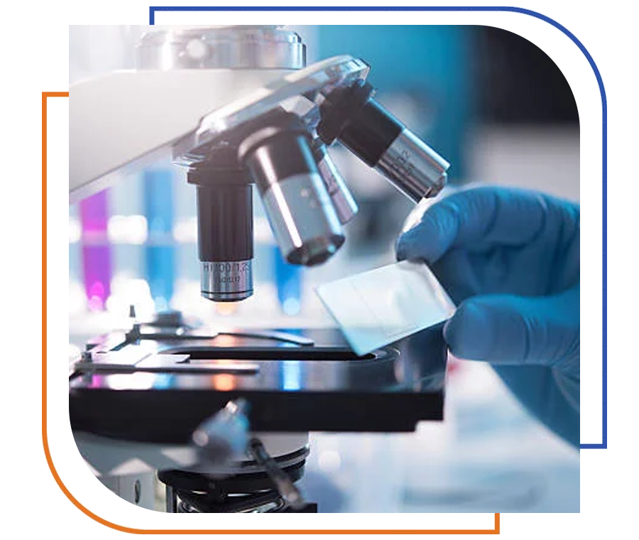 Pathology Collection & Blood Tests | Branxton Healthcare